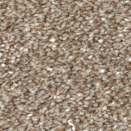 Shop Mohawk Industries Carpet True Unity by Mohawk Industries - Oakland ...