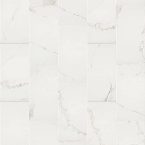 Shop Shaw Industries Tile Maximus 12X24 by Shaw Industries - Oakland ...